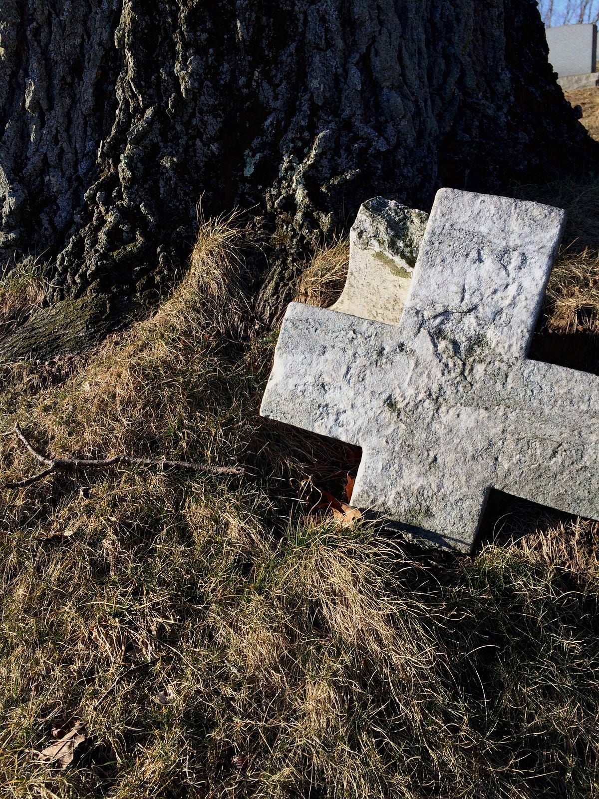 If I must die,. Bury me here. | by Joanna Abraham | Medium