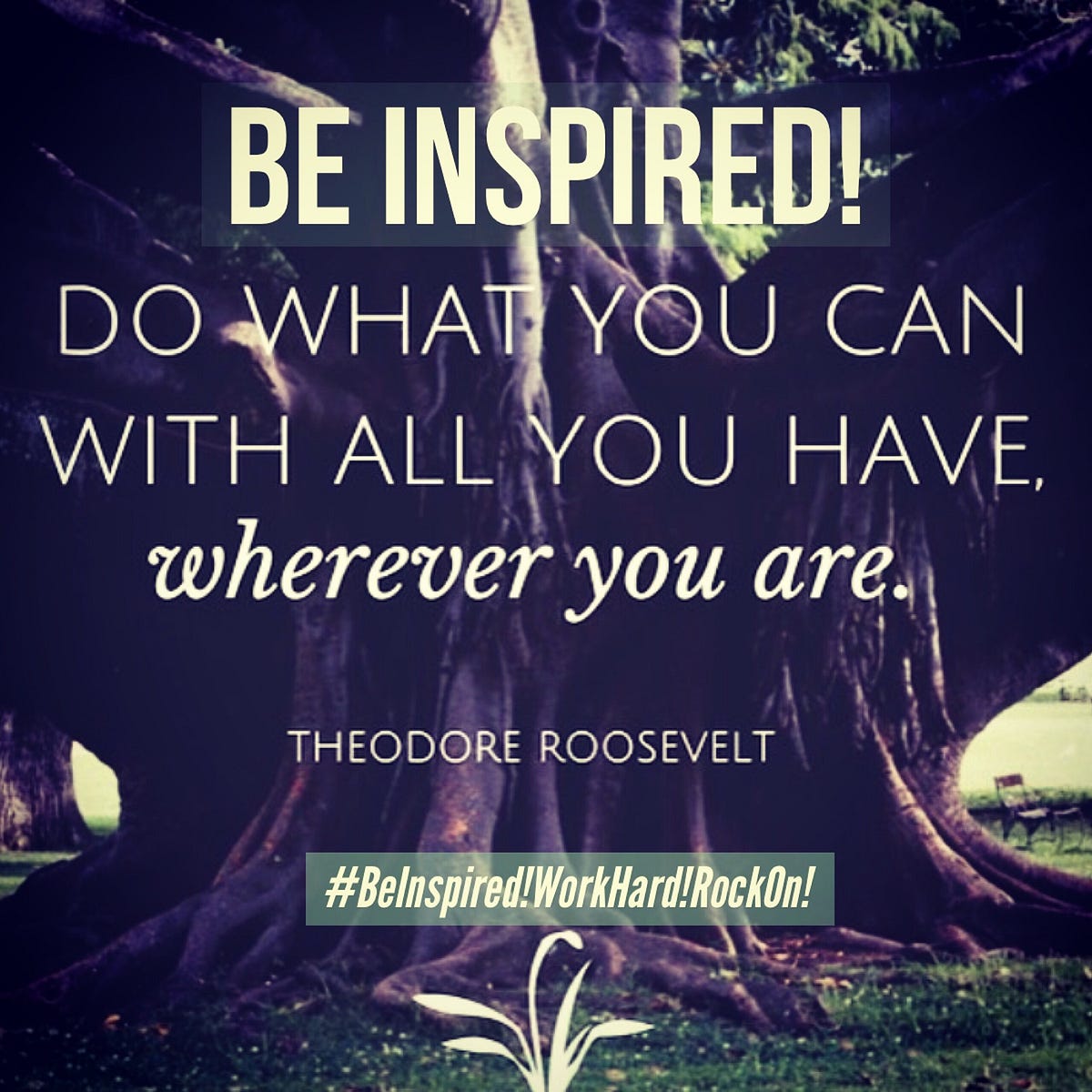 Be Inspired! | by Sheryl L. Kovach | Medium
