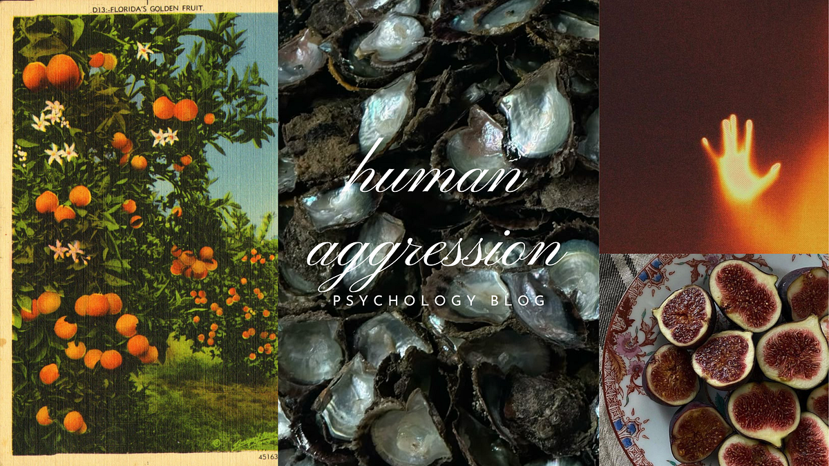 Overview of the Neural Basics of Human Aggression | by thoughts ...