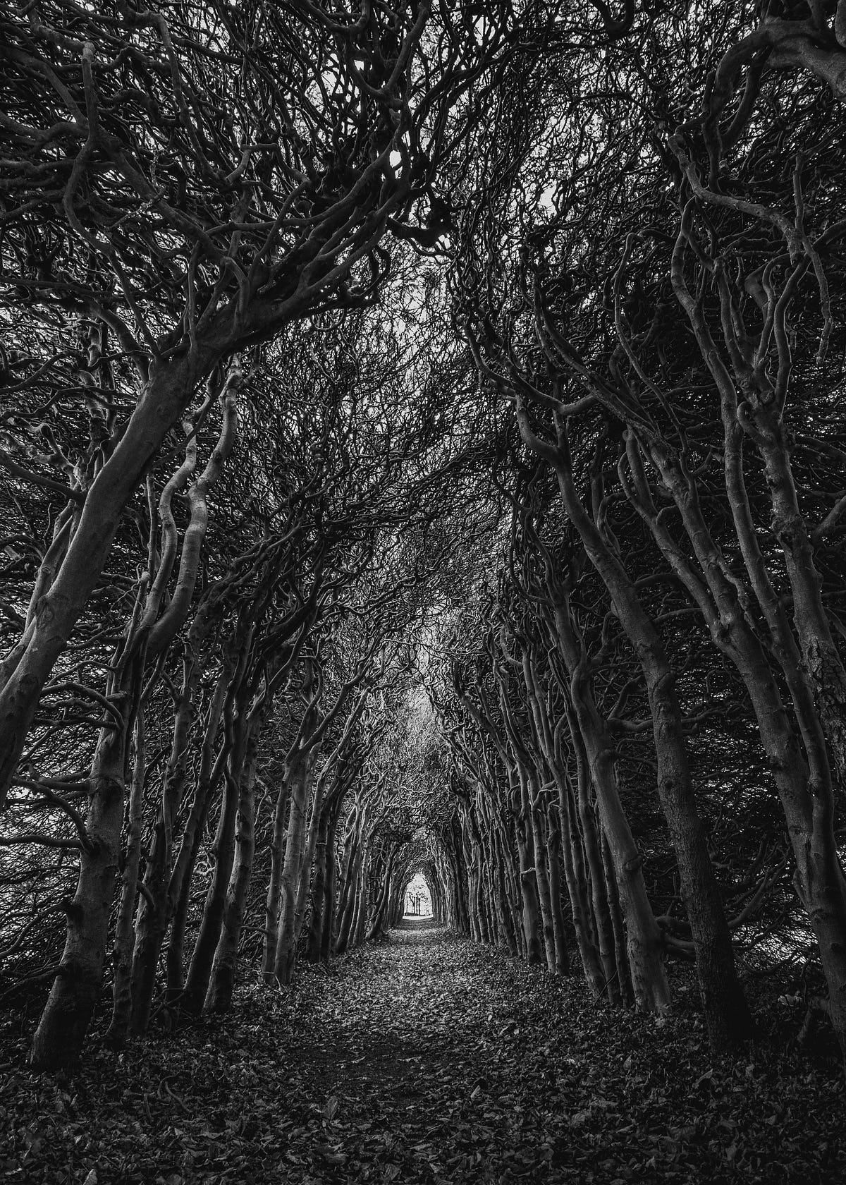 Somewhere someone eats, someone dies | by Kallol Mazumdar | Soul ...
