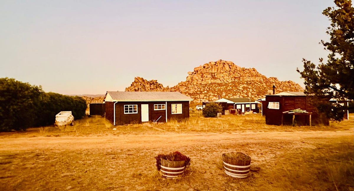 # 565: Integration. Vision Fast Poetry | by Silke Schmidt | Medium