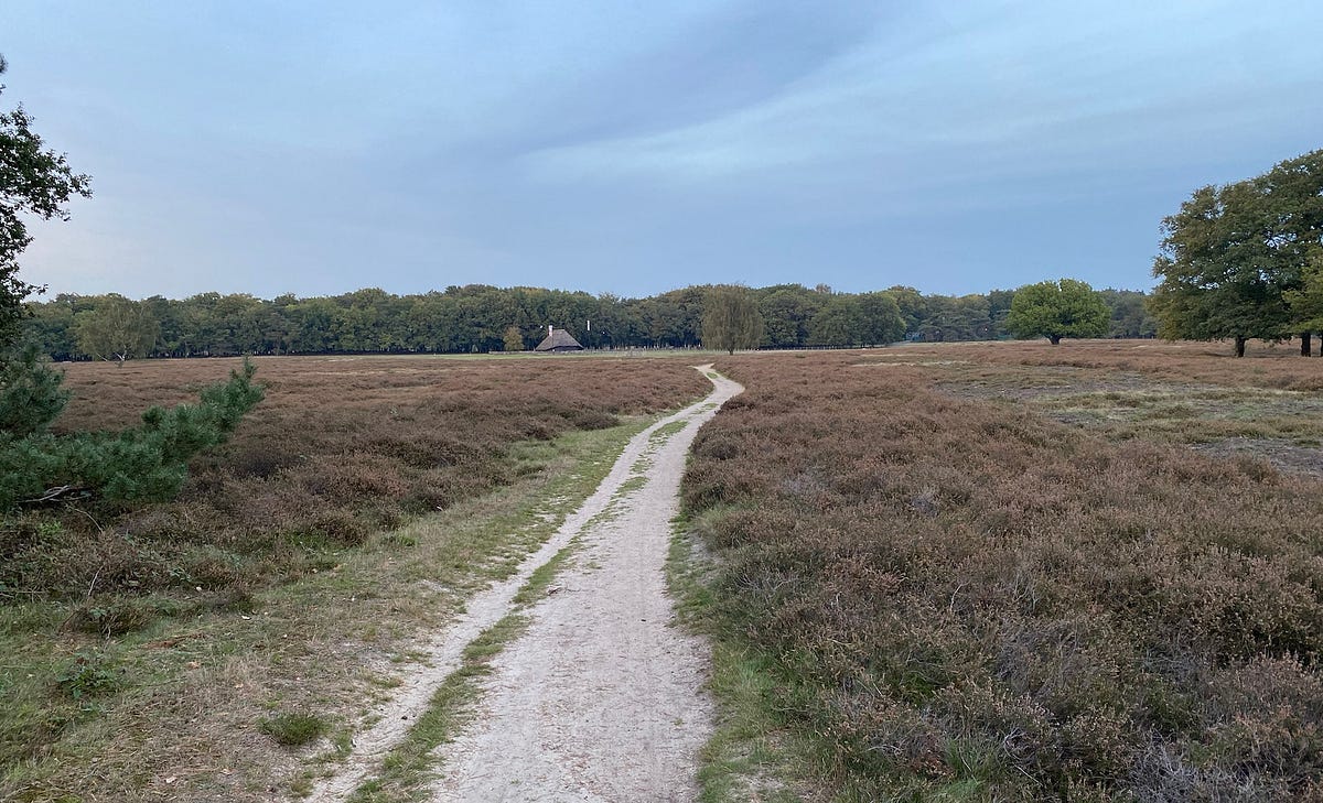 The Art of Loneliness | A Short Reflection on Midlife | Medium