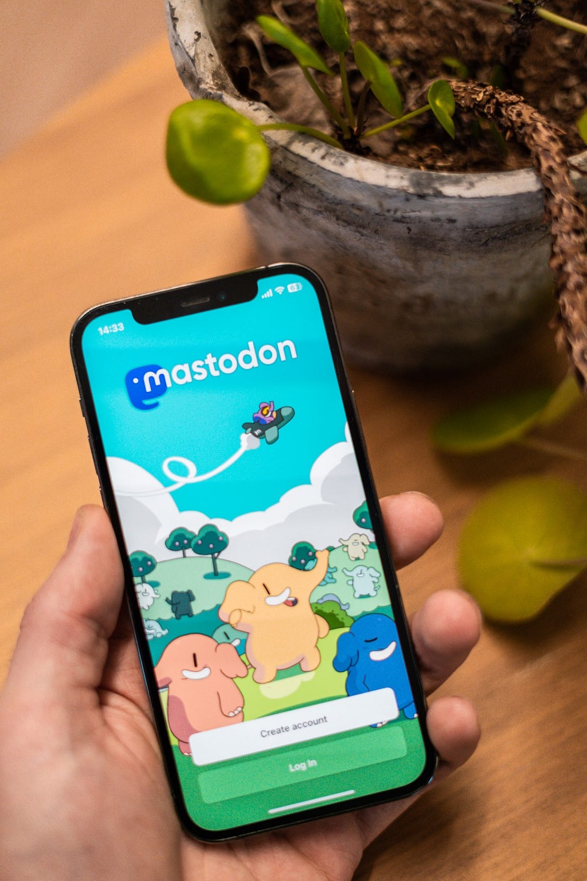 My mastodon user experience. I read about Mastodon on Medium. | by ...