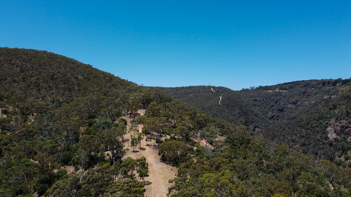 Python Prefect: A Guide To Your First Steps | by Oliver Holmes | Medium