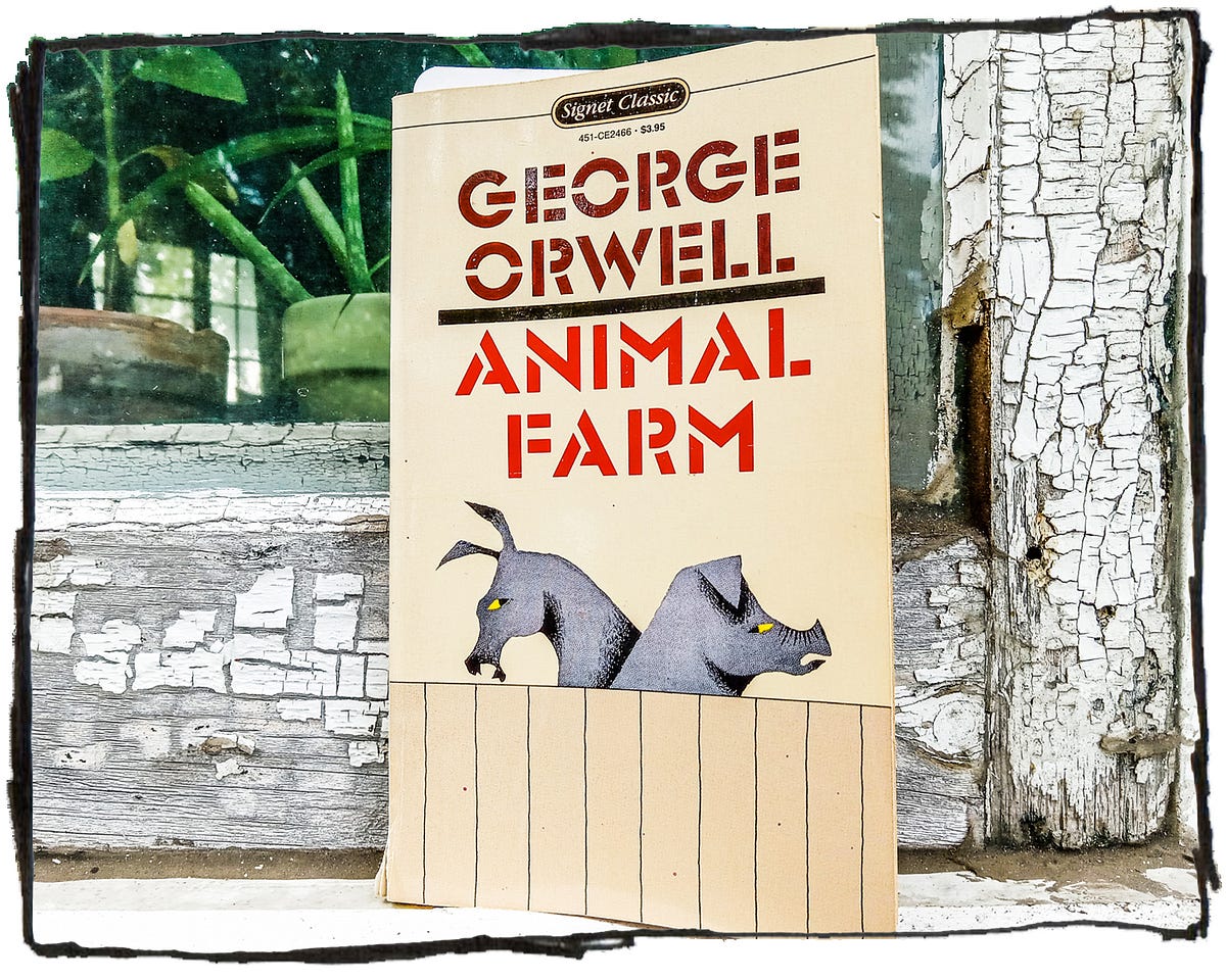 How People Are Fed a Bunch of Beautiful Promises That Lead Only to ...