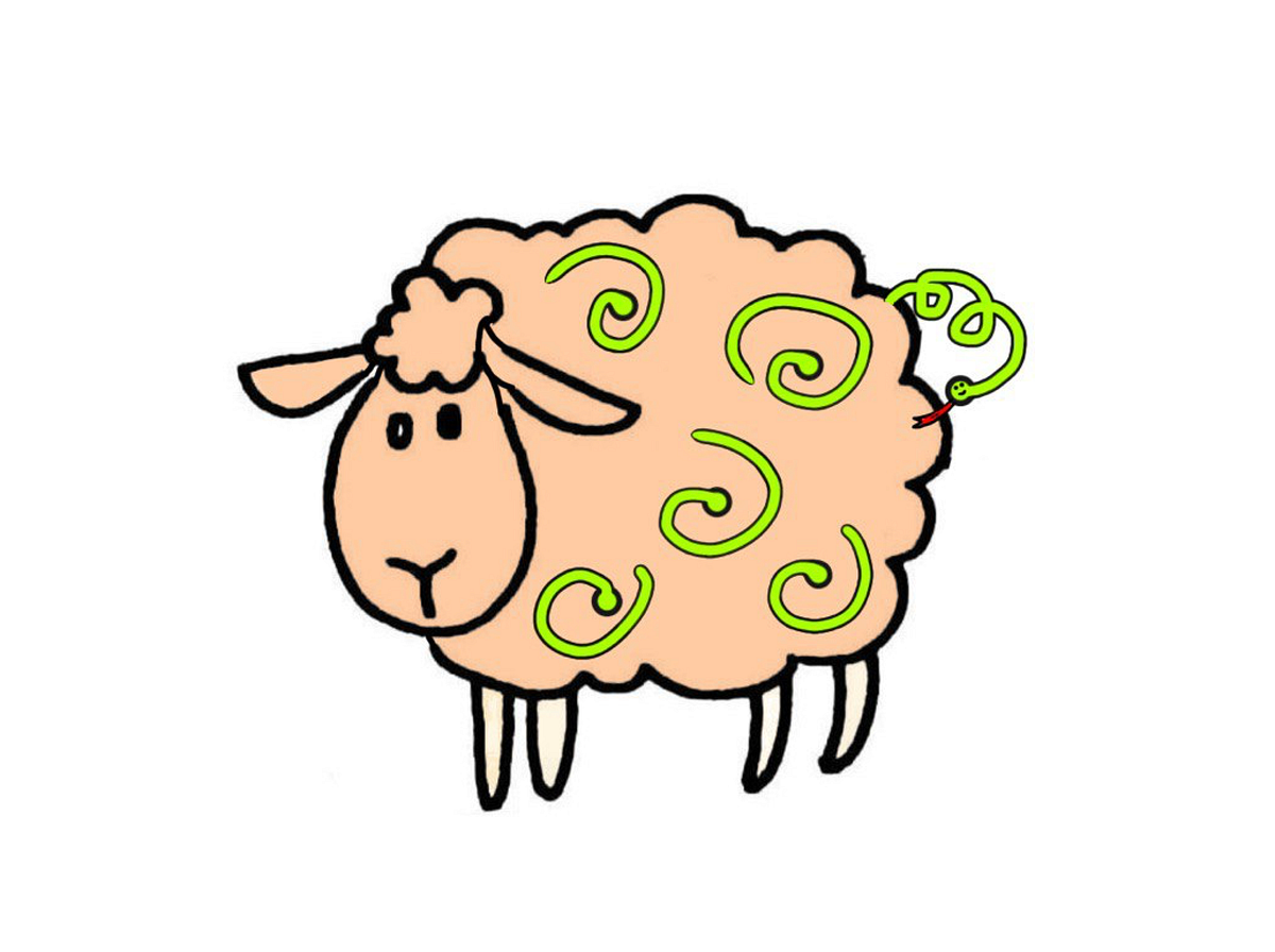 Assert In Python, What It Does & When To Use It | by Liu Zuo Lin ...