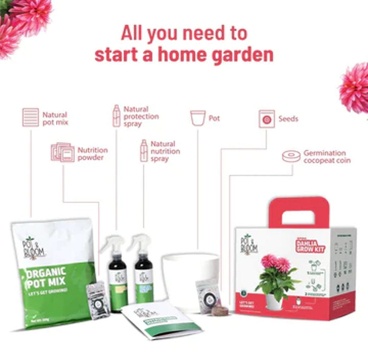 Flower Kits | Pot and Bloom | Easy to Grow Indoor Plants - Pot and ...
