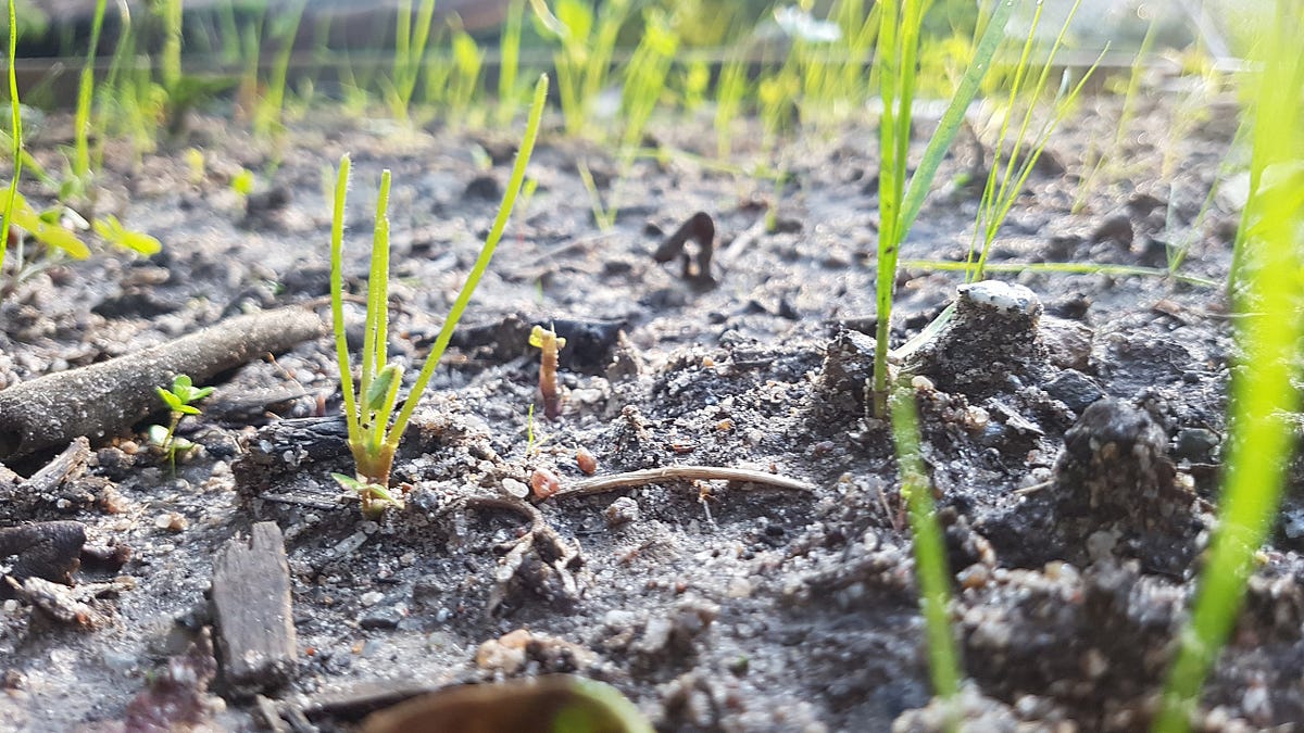 Cultivating a Post-Growth Relationship with Knowledge | by Post Growth ...