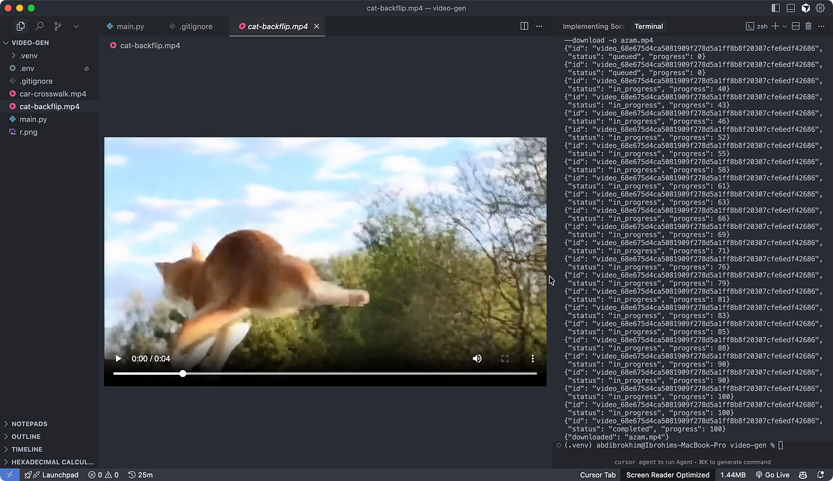 Sora 2 / Sora 2 Pro Python CLI. I made Sora 2 / Sora 2 Pro CLI, so you… | by Ibrohim ...