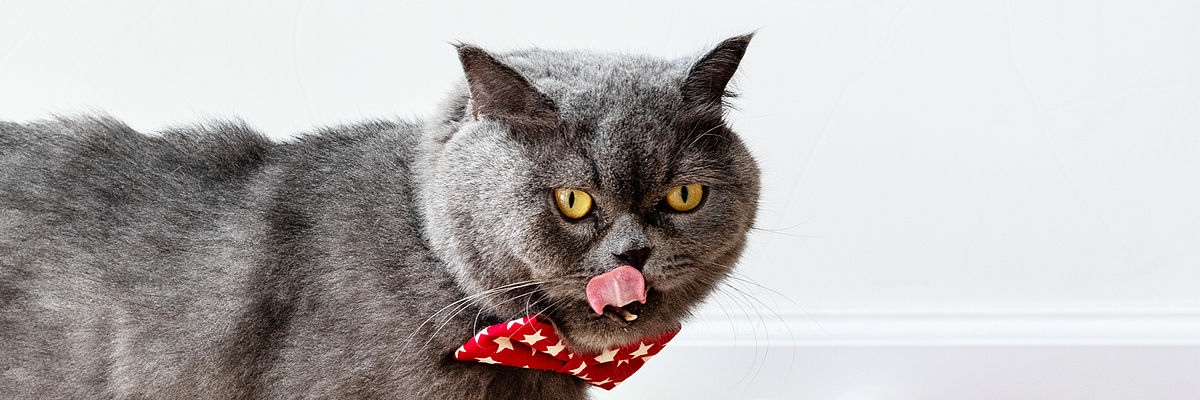Lab-Grown Meat is Coming… to the Pet Food Aisle | by Kevin Jiang ...