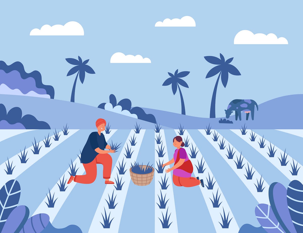 How New Health Insurance Policies benefit Rural India? | by Akash ...