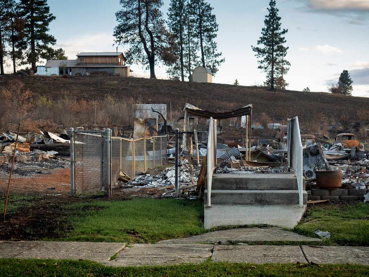 From the Ashes. Ravaged by wildfire, the town of Malden… | by The ...