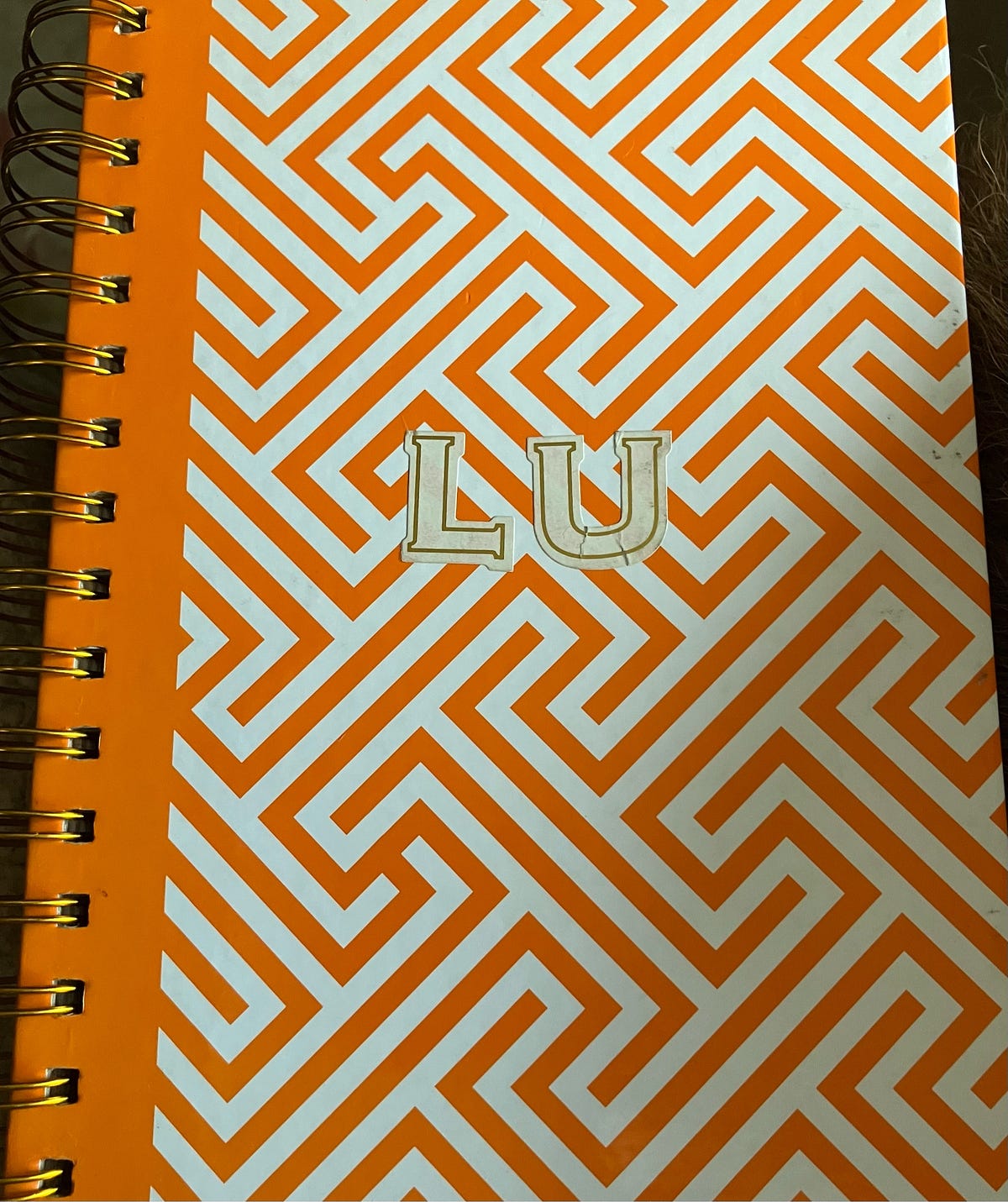 The Last Page of My Recent Journal — | by Lu Skerdoo | Good Vibes Club ...