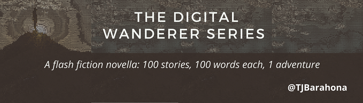 What is The Digital Wanderer NFT Literature Series? | by Taylor J ...