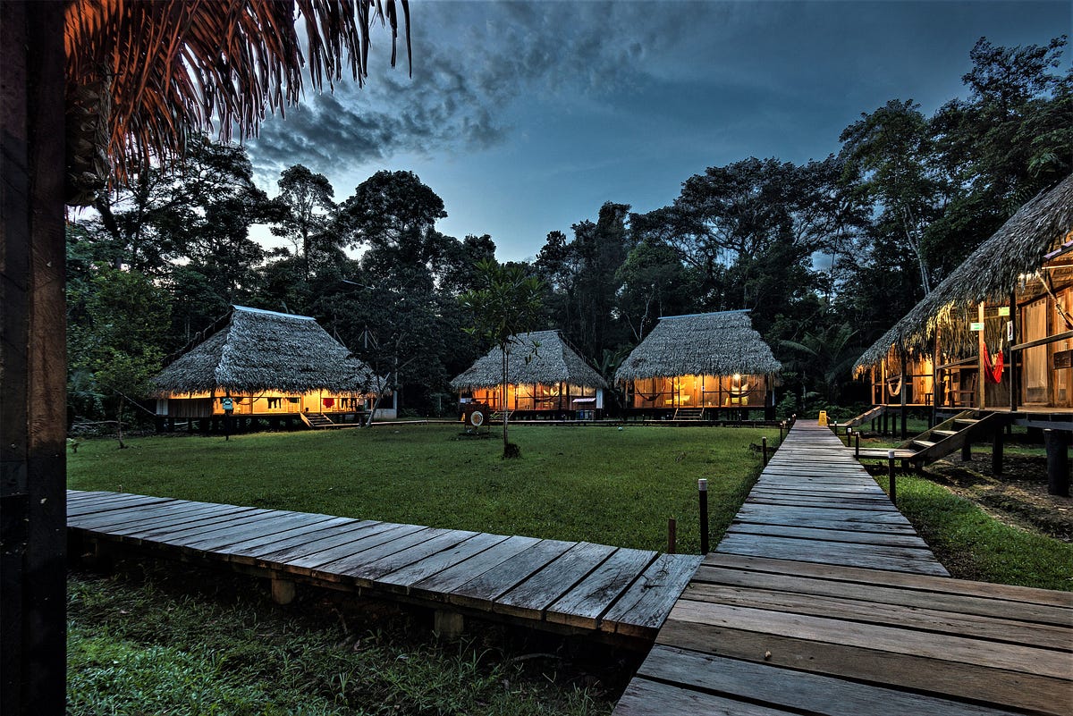 Guide to choose a lodge in the Amazon | by Ecuador Galapagos Travels ...