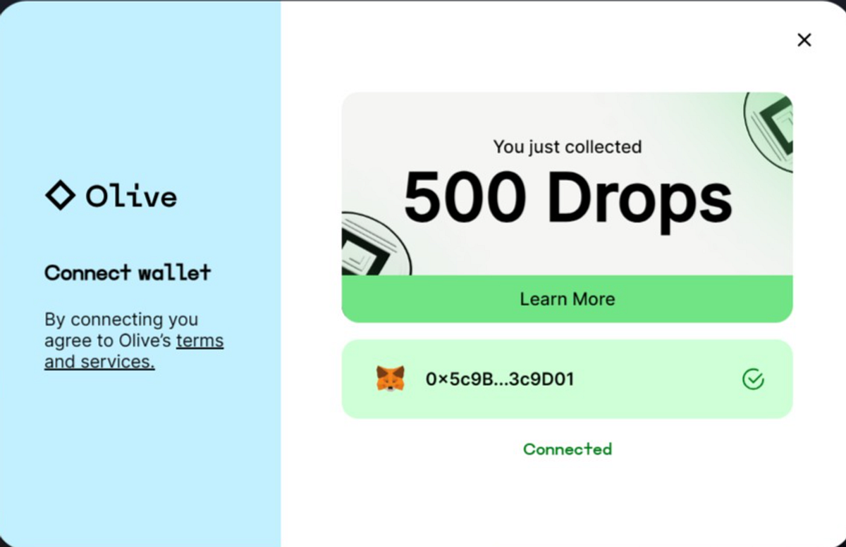 Exploring the Innovative V2 Testnet of Olive Finance: A Deep Dive into ...