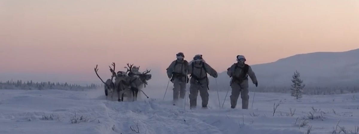 #MeanwhileInTheArctic: Russian Battle Reindeer | by @DFRLab | DFRLab ...