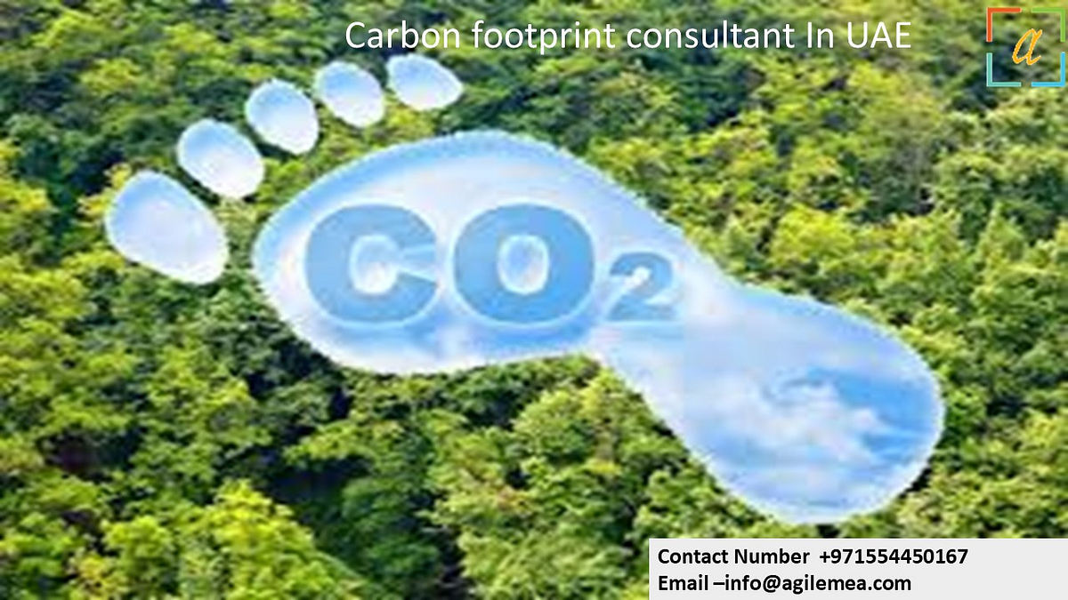 What is the significance of offsetting your carbon footprint? | by ...