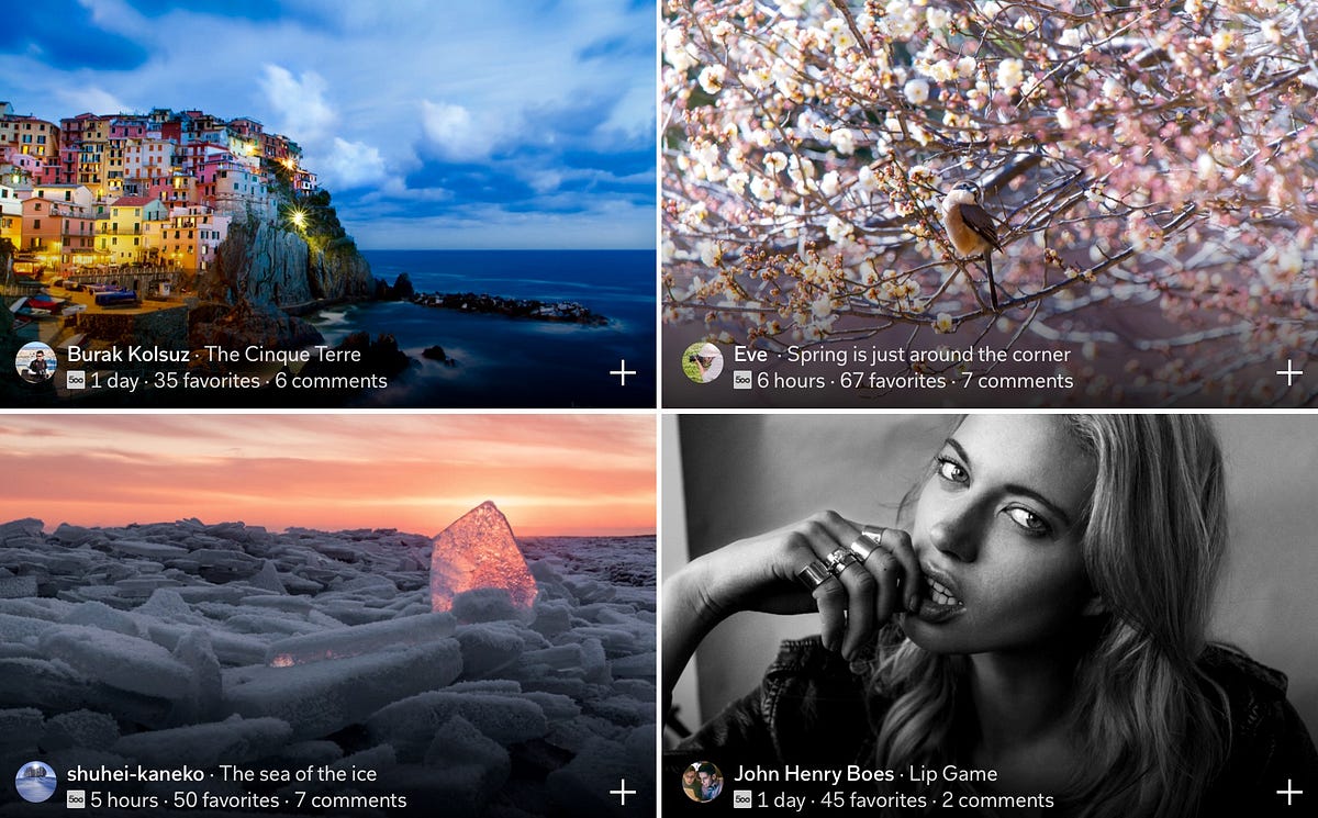 Where are the Men of 500px?. A Rant… | by Terry Porter | Medium