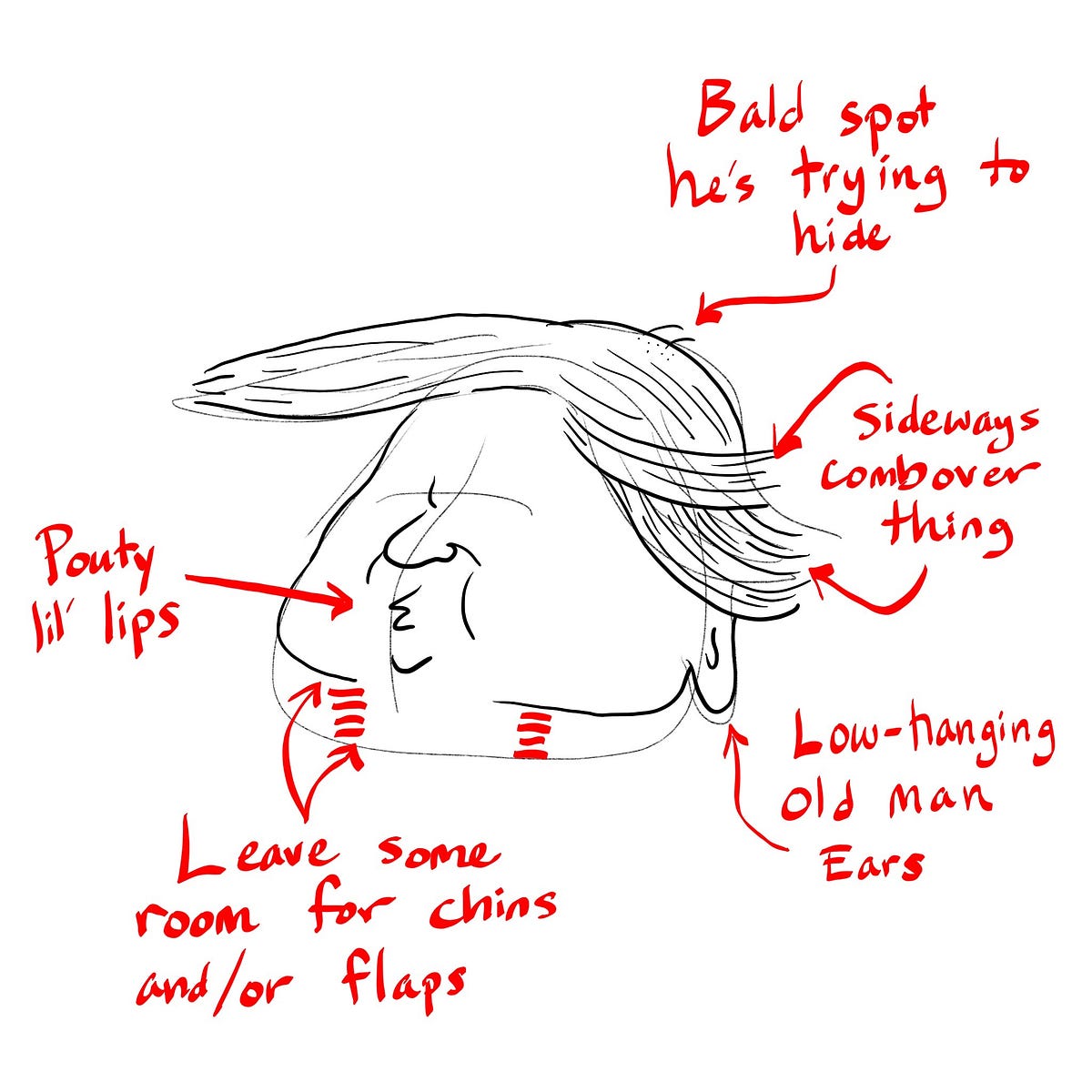 How To Draw Republicans. Hi, I’m Tyler Snodgrass, a balding… | by Tyler ...