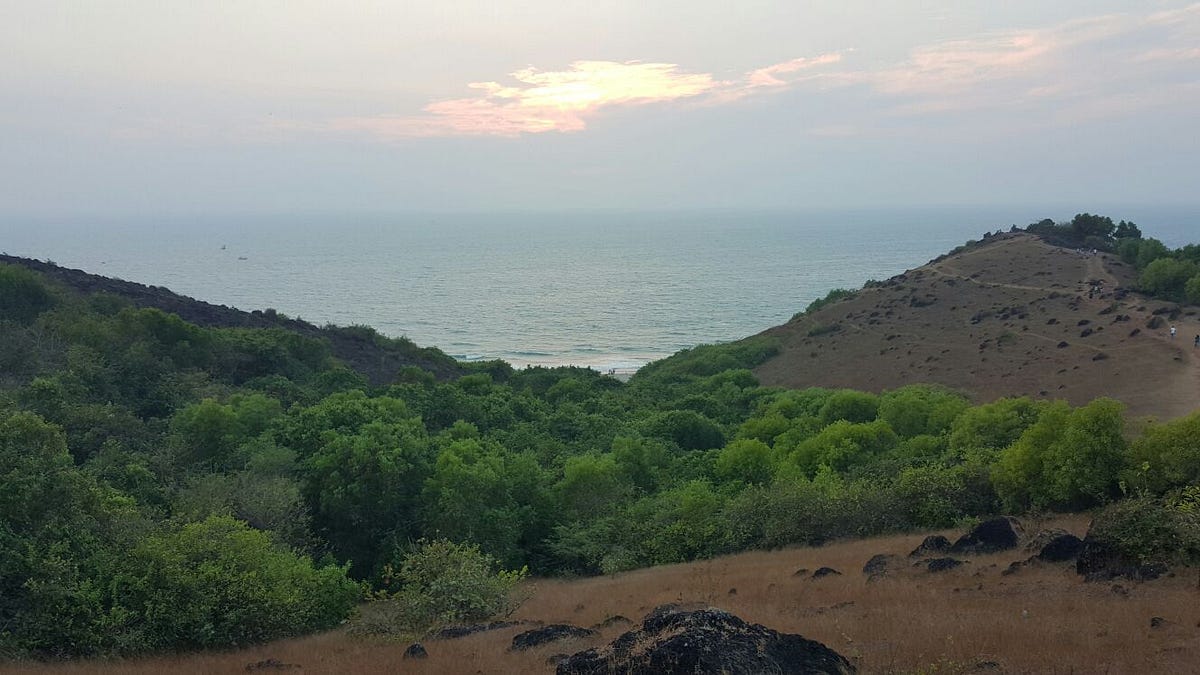 A dive in the sea. As I sit on the beach, caressing the… | by Mosam ...
