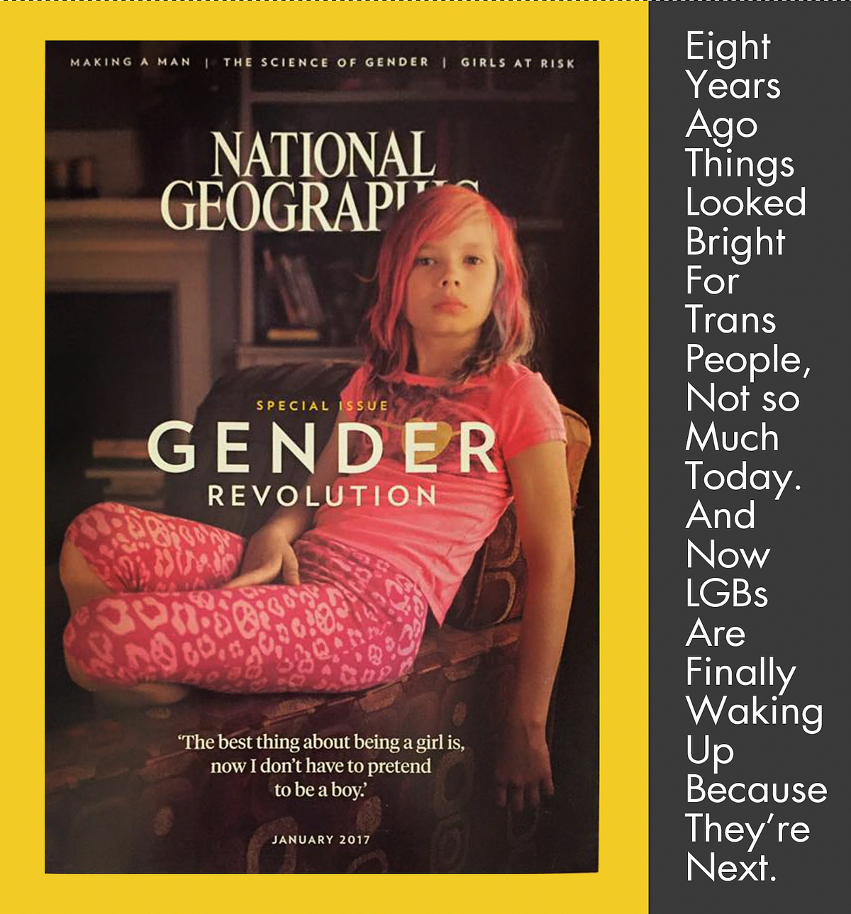 Eight Years Ago, Things Looked Bright for Trans People; Not So Much ...