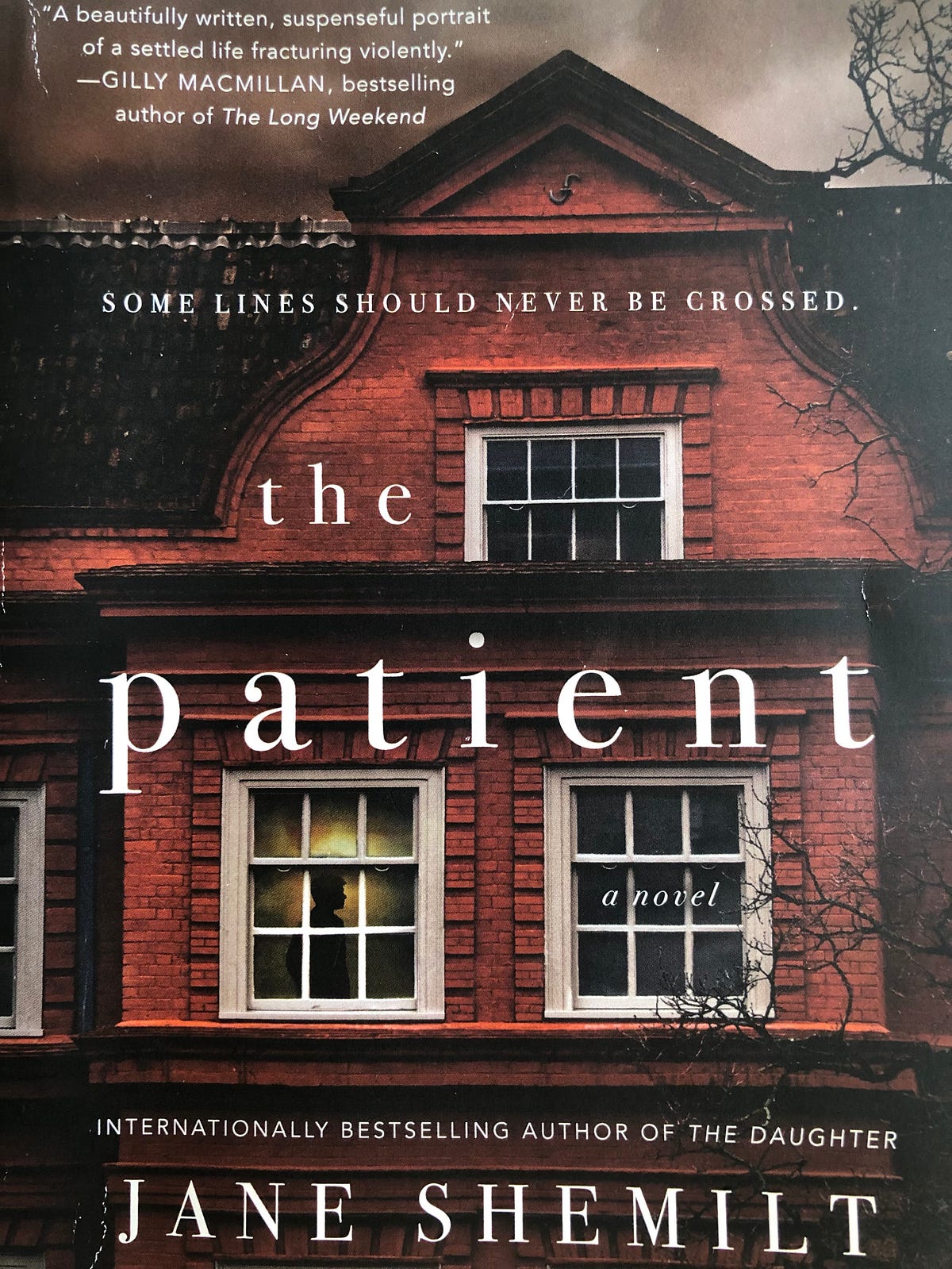 Book Review: The Patient by Jane Shemilt | by Aleah Shams | Medium