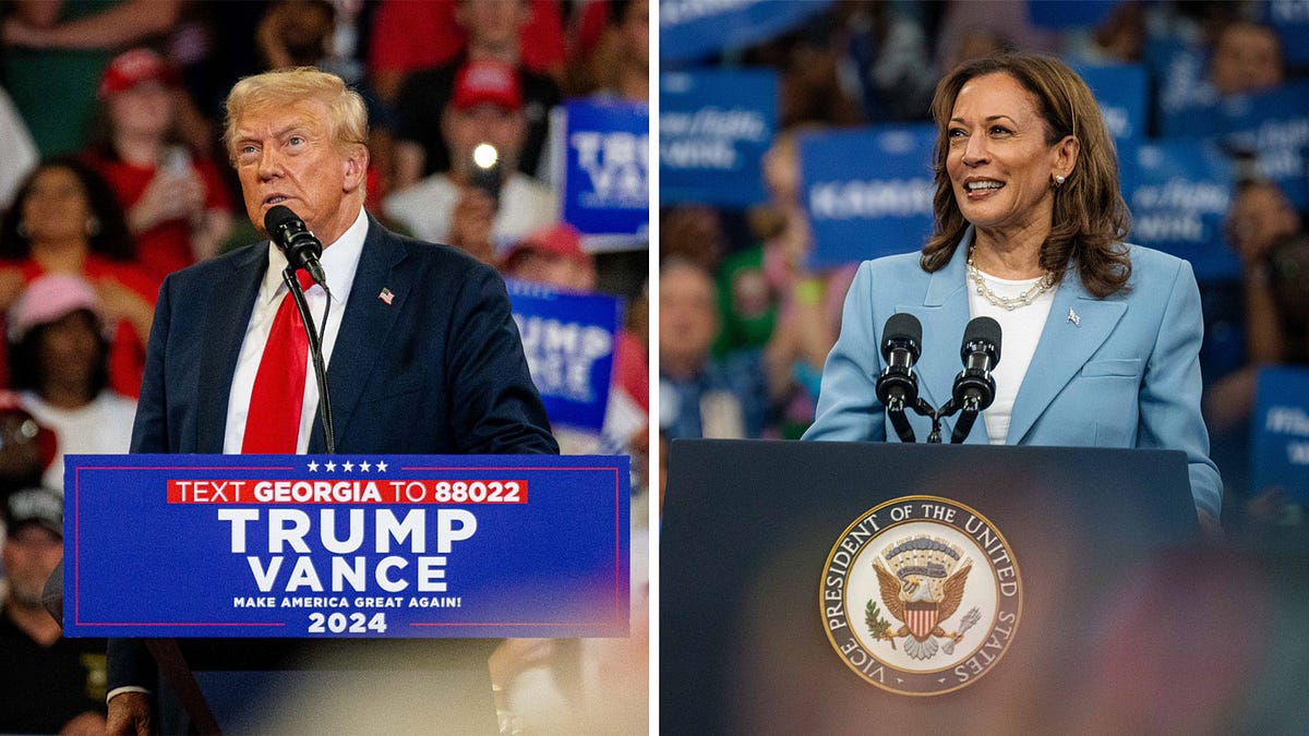 A Tale of Two Rallies: The Divergent Energies of Harris and Trump in ...