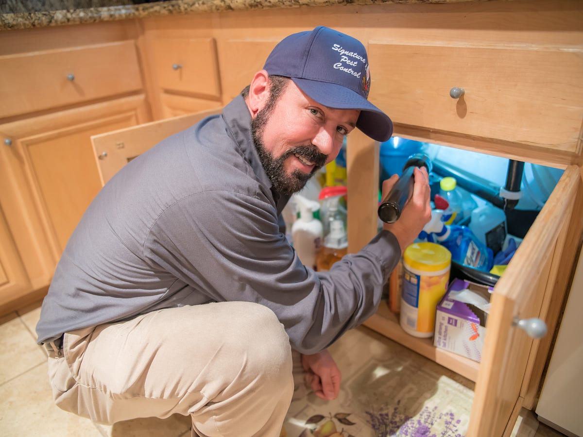Pest Control Services. Our friendly, trained, and licensed… | by ...