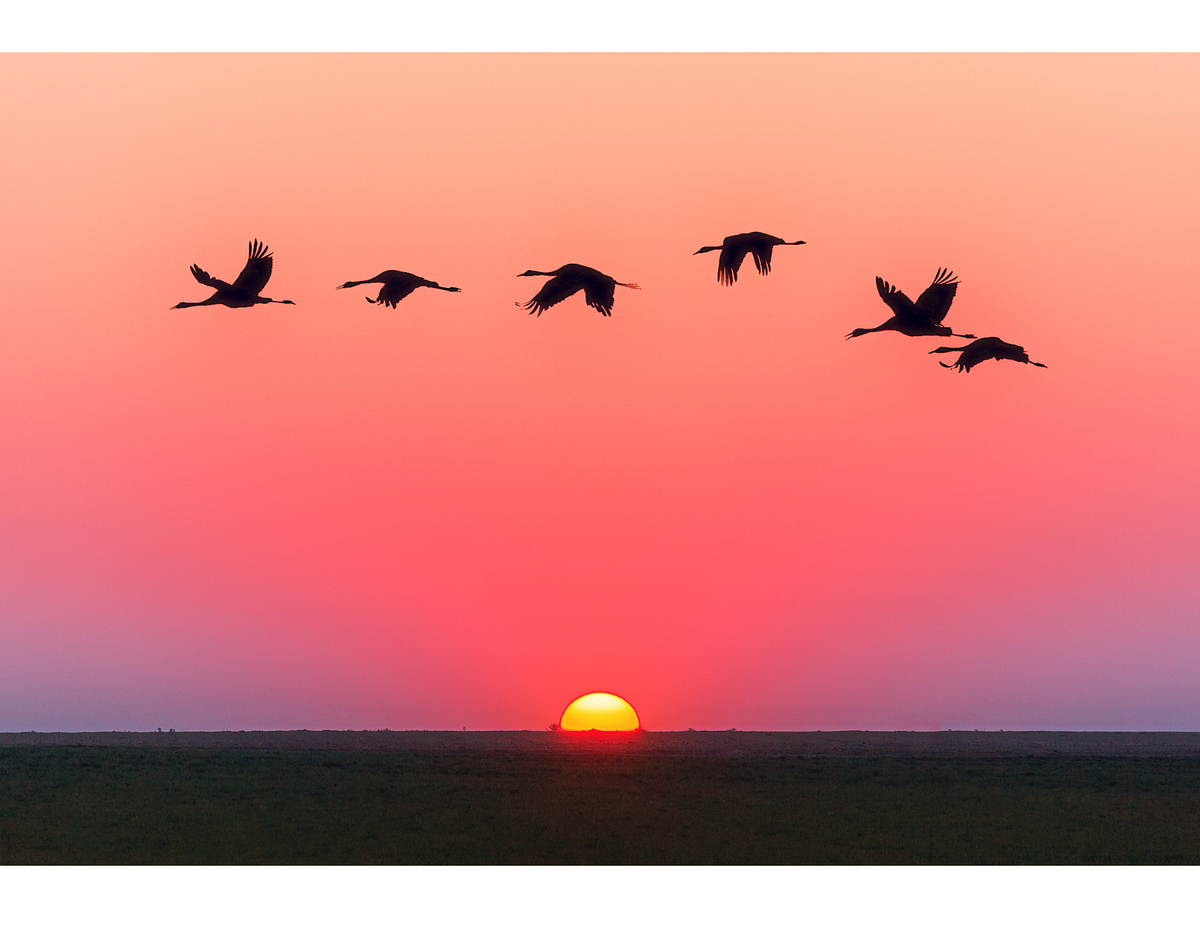 Self-Liberation. What does self-liberation look like? It… | by Enia ...