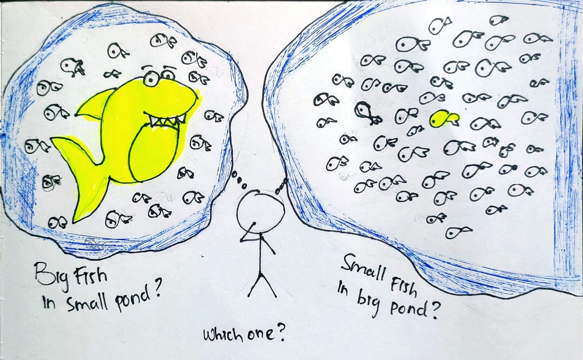 The Paradox of Scale: A Tale of Ponds and Fishes | by Anita | Medium