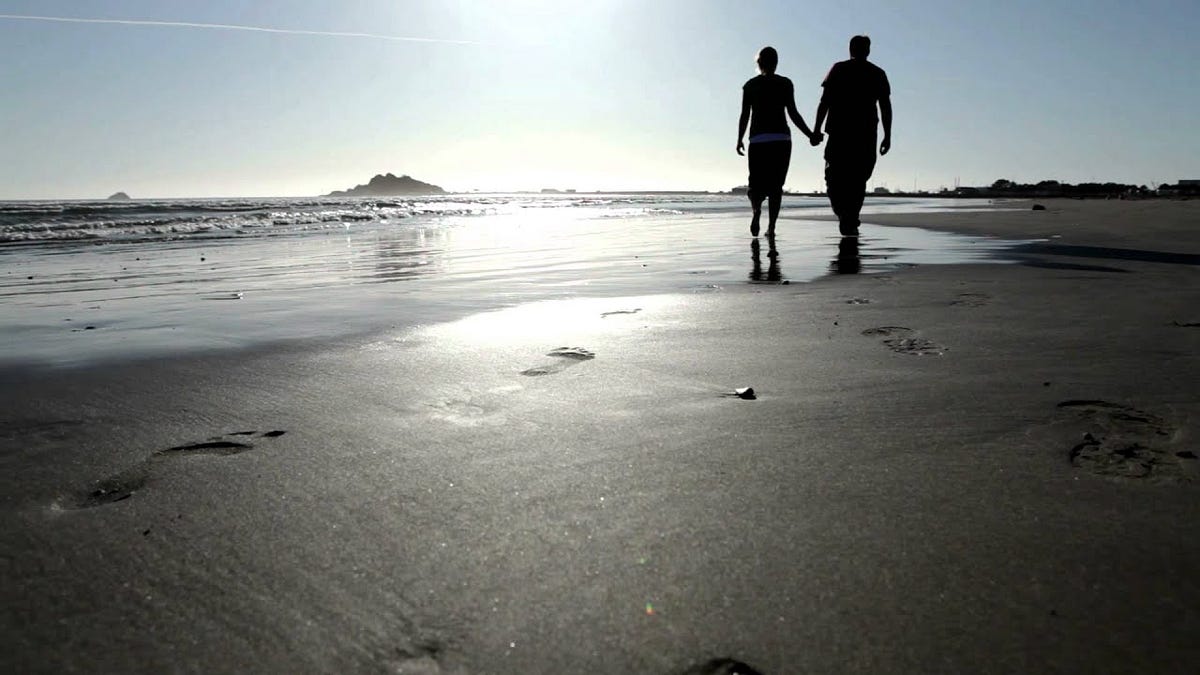 Four Feet One Mind. Jonathan a mid-50-year-old tall bulky… | by Vsd ...