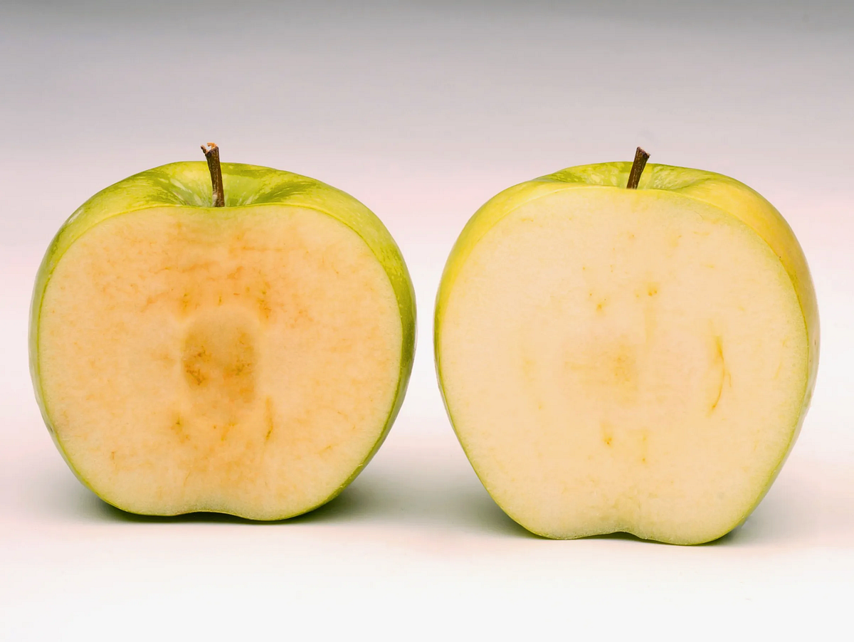 How Genetic Engineering Can Be Used to Make Apples That Don’t Brown | by Christophoros Nikitas ...