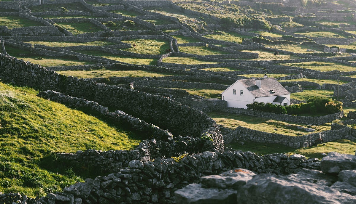 The Irish Disappeared: Fathers, Mothers, Sons, Friends, and Cousins ...