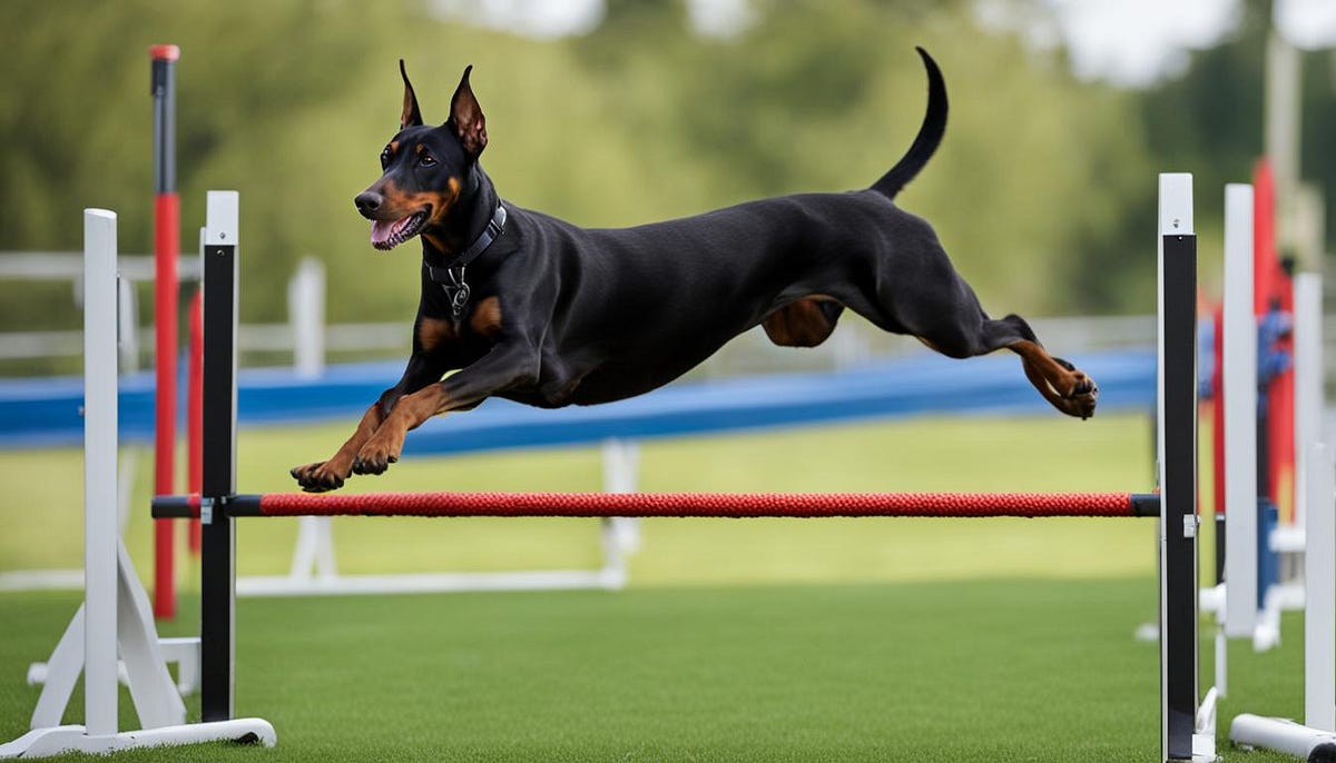 Effective Doberman Pinscher Training Tips | by Heartsofpets | Feb, 2024 ...