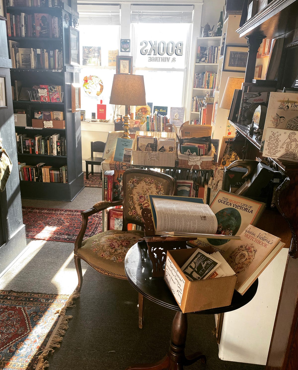 Looking at Takoma’s New Bookstore | by Taylor Dibbert | Medium