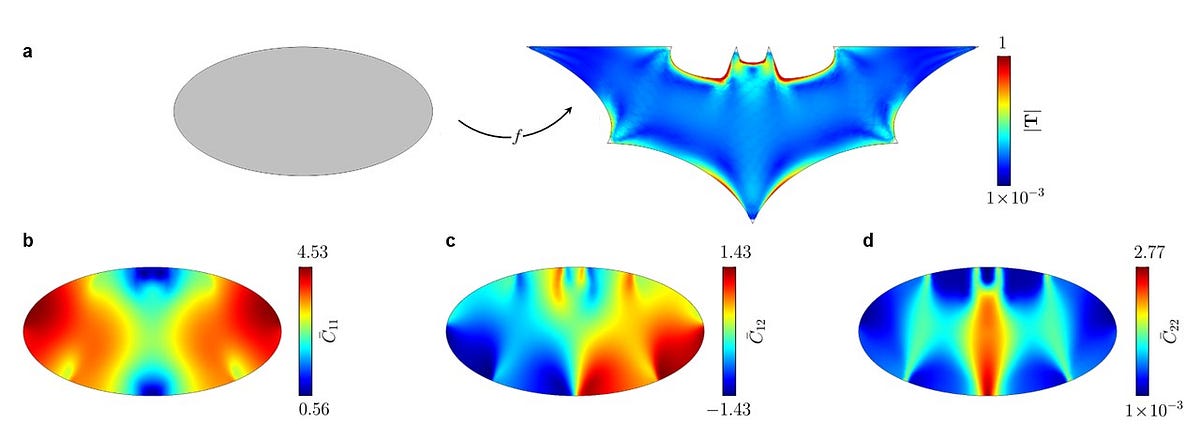 Mathematical modelling and experiments on the shape morphing of active ...