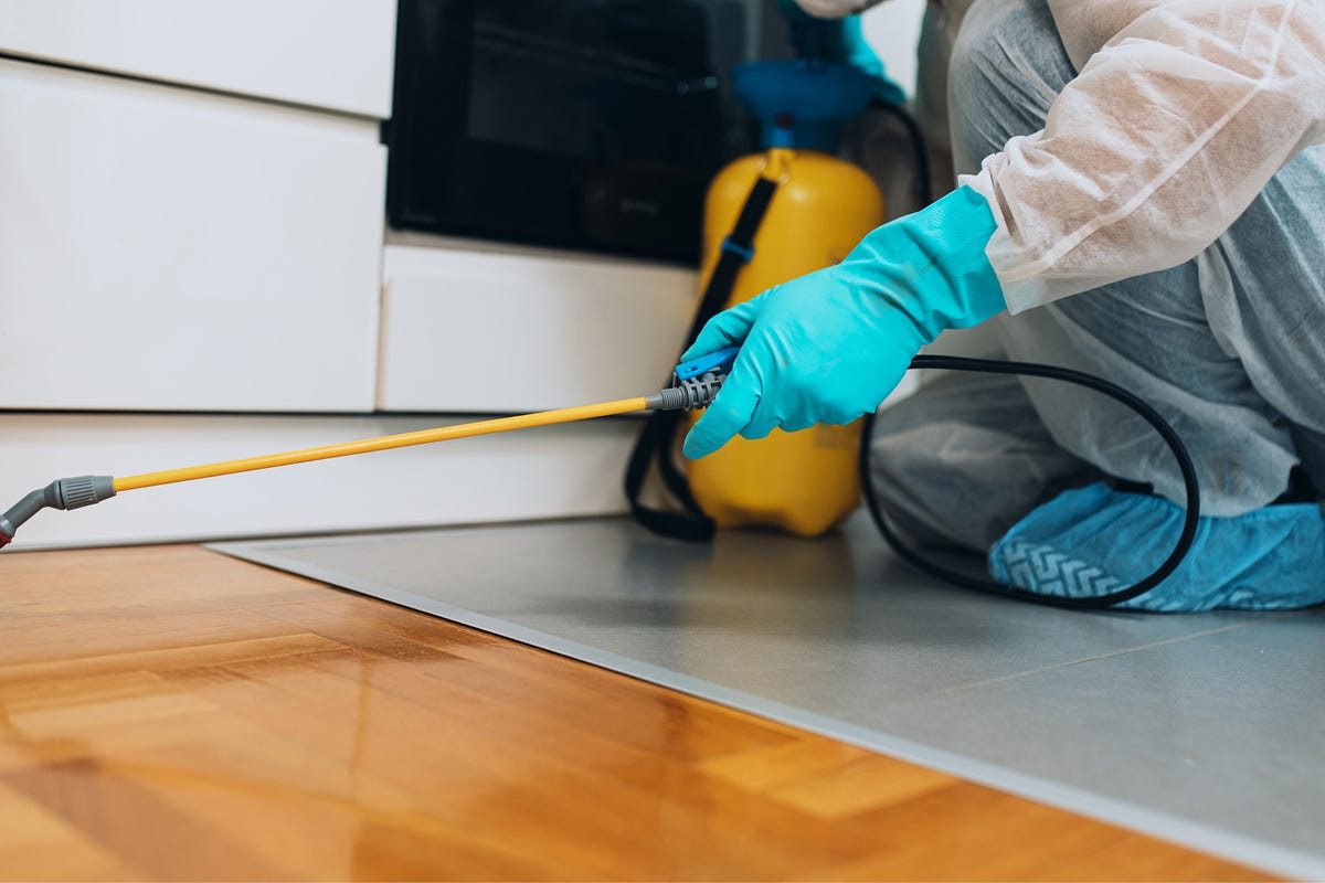 How to Choose the Right Pest Control Service Provider in Sydney | by ...