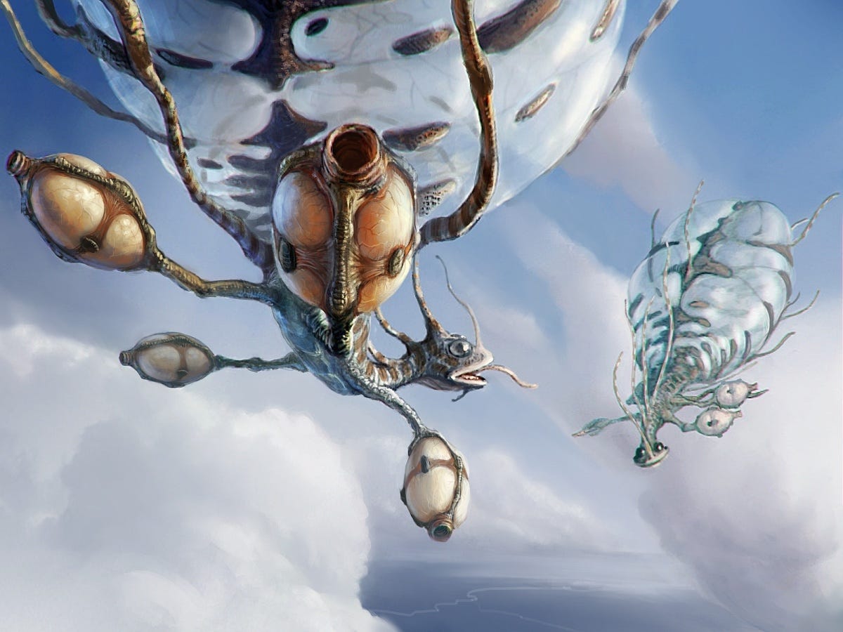 Worldbuilding #9: Skybreakers. Native to the Rhultak origin world… | by ...