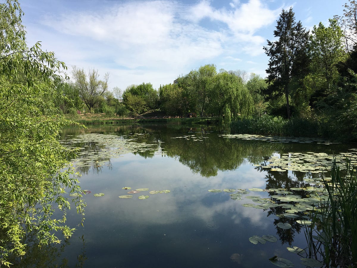 Why You Haven’t Understood the Currying Technique | by Cristian ...