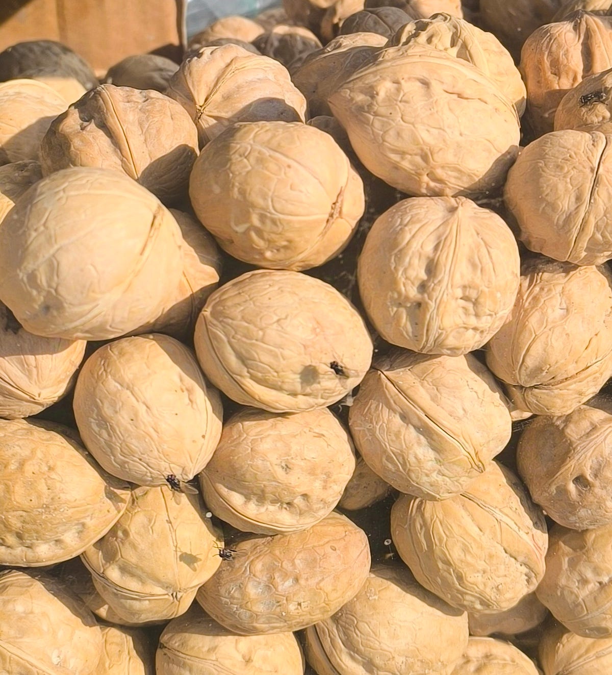 Walnuts And Almonds Are Nutritional Powerhouses That Need To Go Into ...