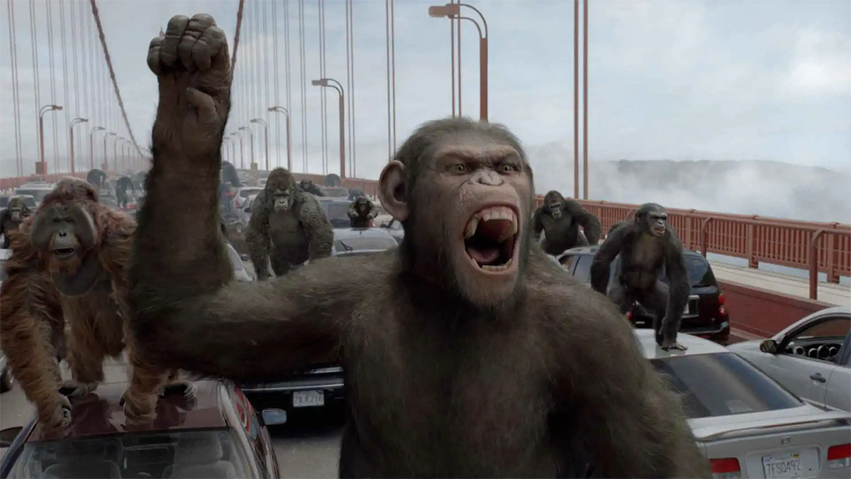 Tired of getting RUGGED? It’s time for degen apes to EVOLVE. | by Do ...