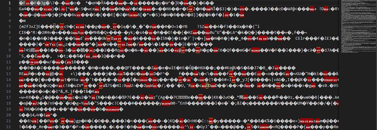 Kashi CTF 2025 Reverse Engineering Writeup “Painfully Slow” | by fedoraman | Medium