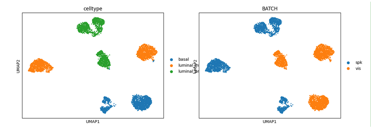 Tutorial: Optimal Transport of Batch Correction | by Xiaokangkang | Medium