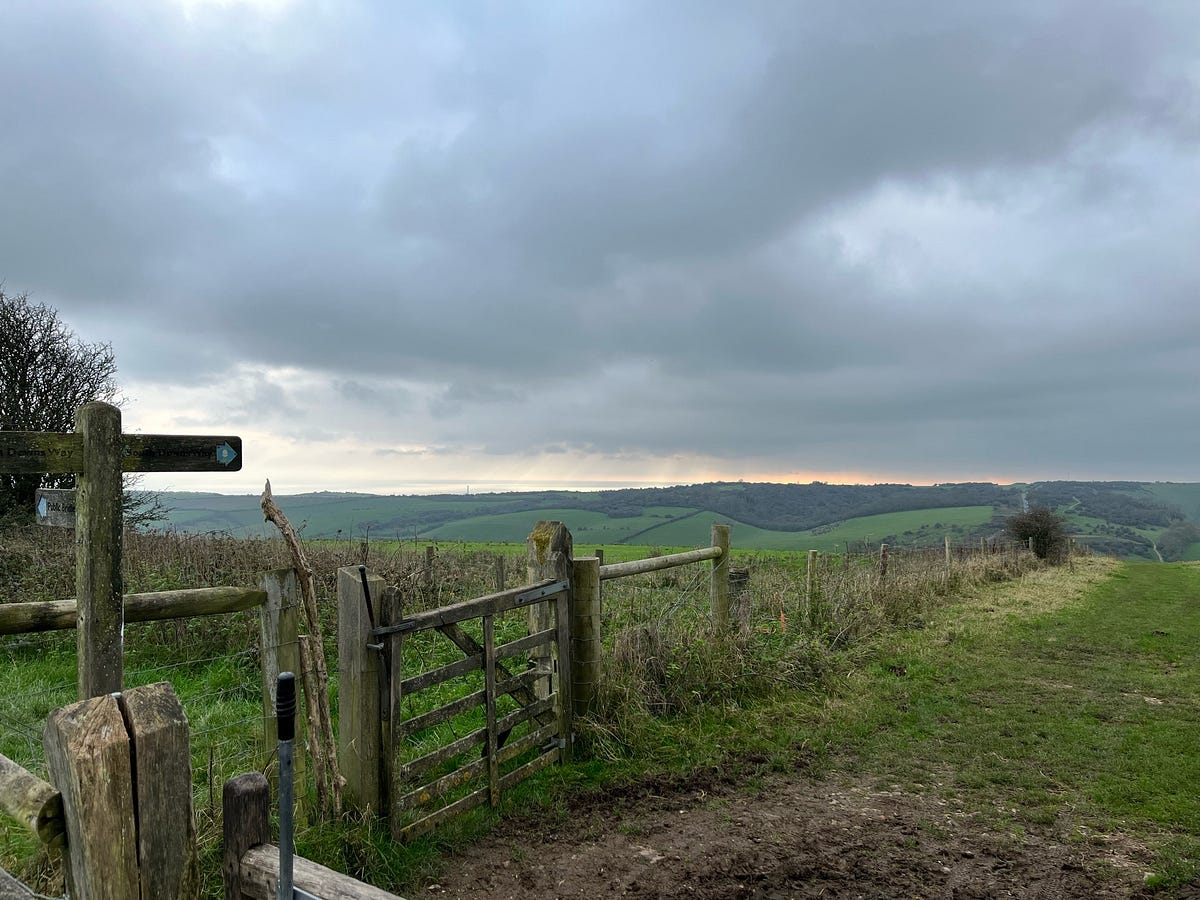 Rejuvenation. Nature at is best. | by Tony Waring | Nov, 2024 | Medium