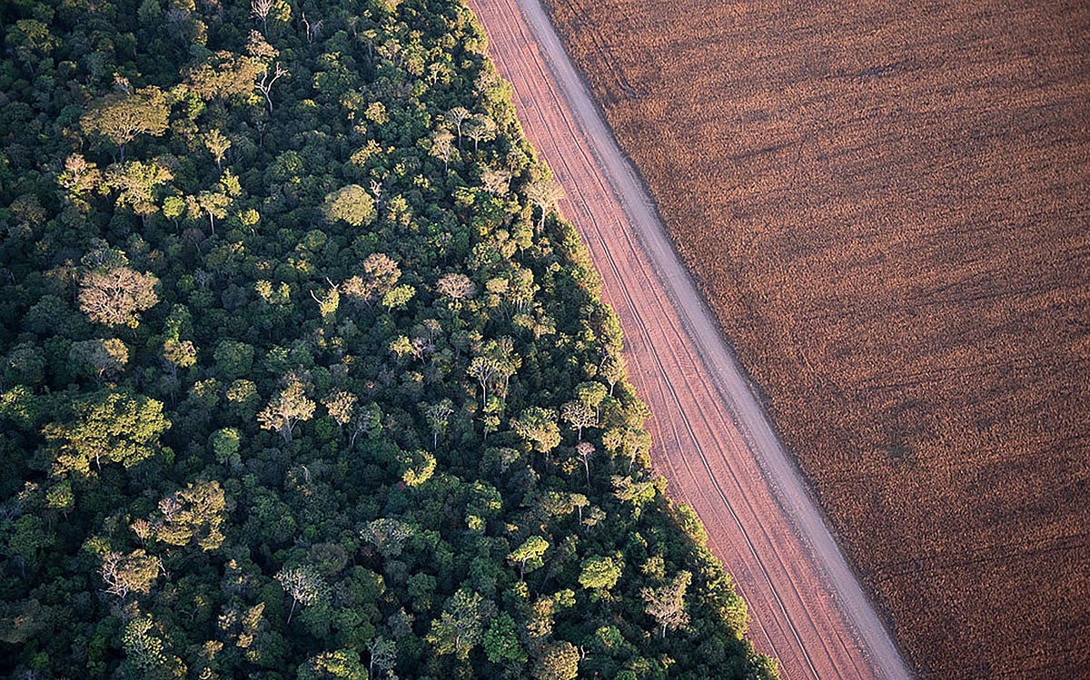 A Brief Overview of Land Sparing vs. Land Sharing in Post-Brexit ...