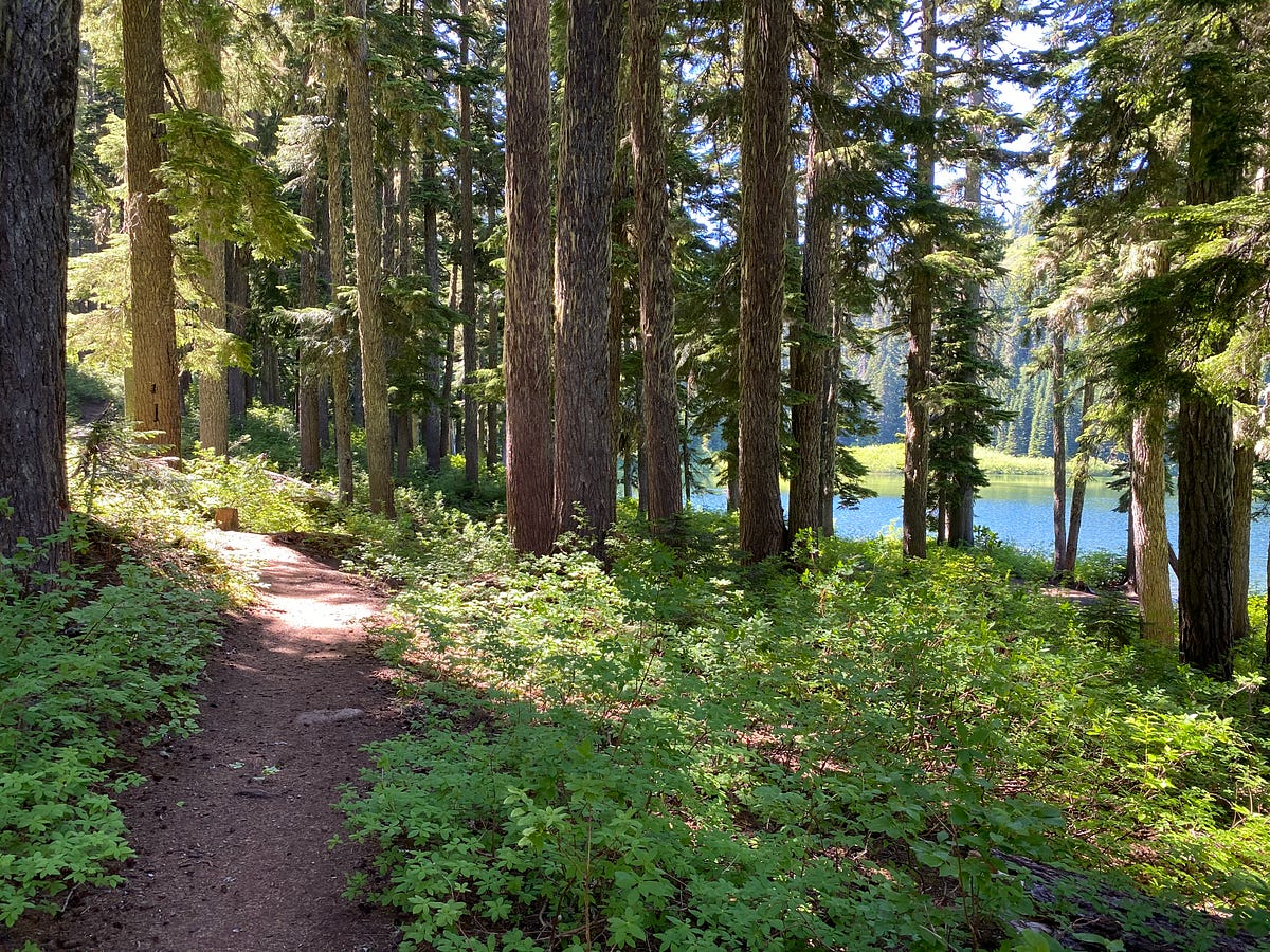 5 of the Best Hikes Under 5 Miles Near Seattle | by Rebecca Ballantyne ...