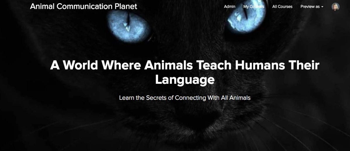 Learn Animal Communication Classes Tips & Secrets : Karen Anderson | by ...