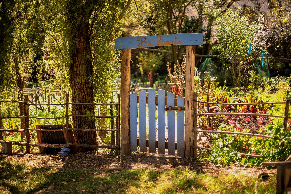 Location ideas for a perfect picnic in nature | Medium