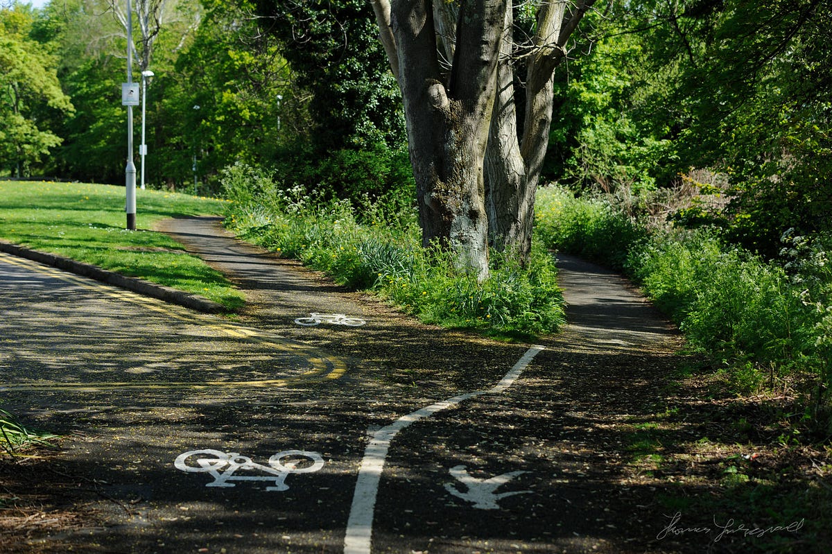 The Difference a Good Lens Makes. It never ceases to amaze me the… | by ...